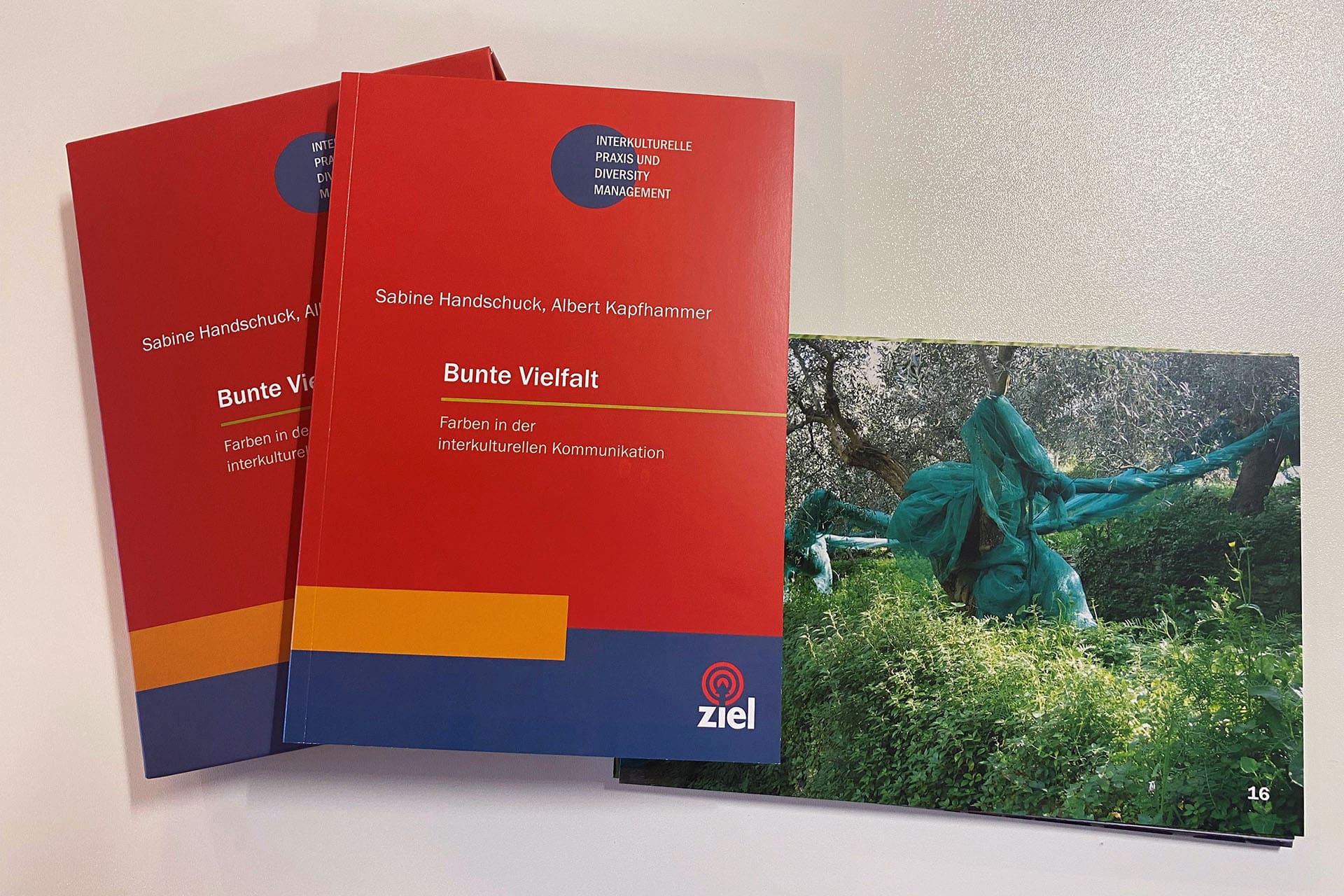 Bunte Vielfalt - ZIEL-Verlag